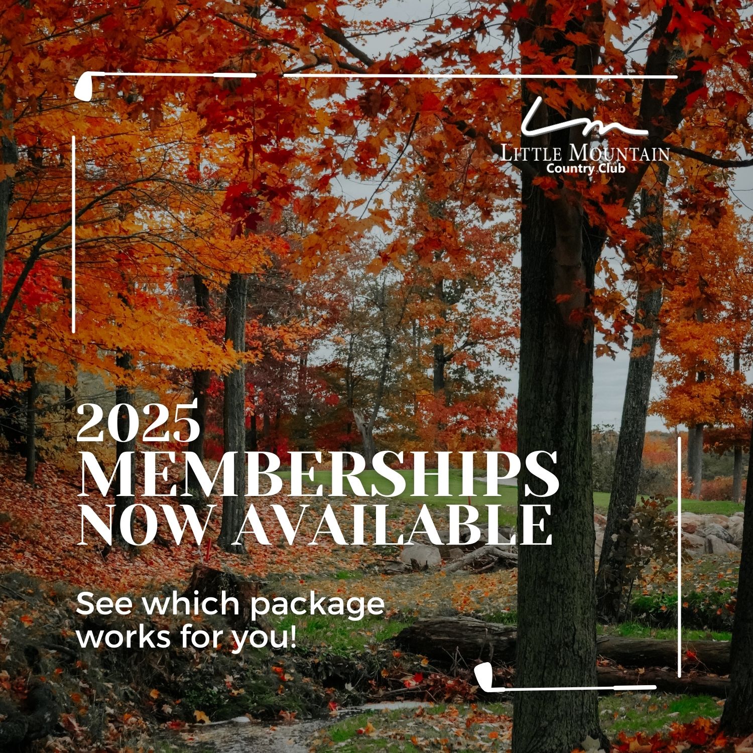 Home - Little Mountain Country Club